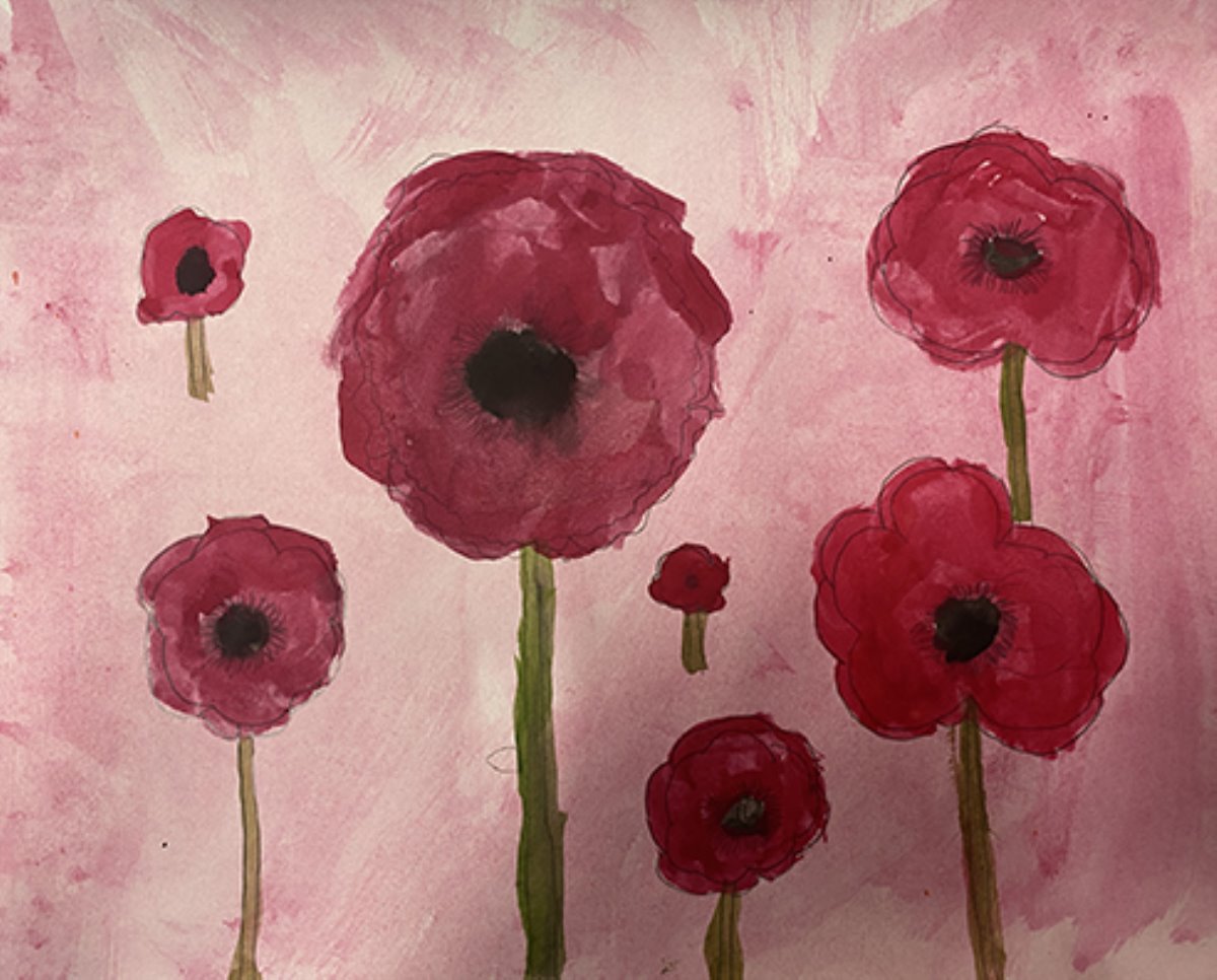 Symbolism of the Poppy | News | Bedford Girls' School